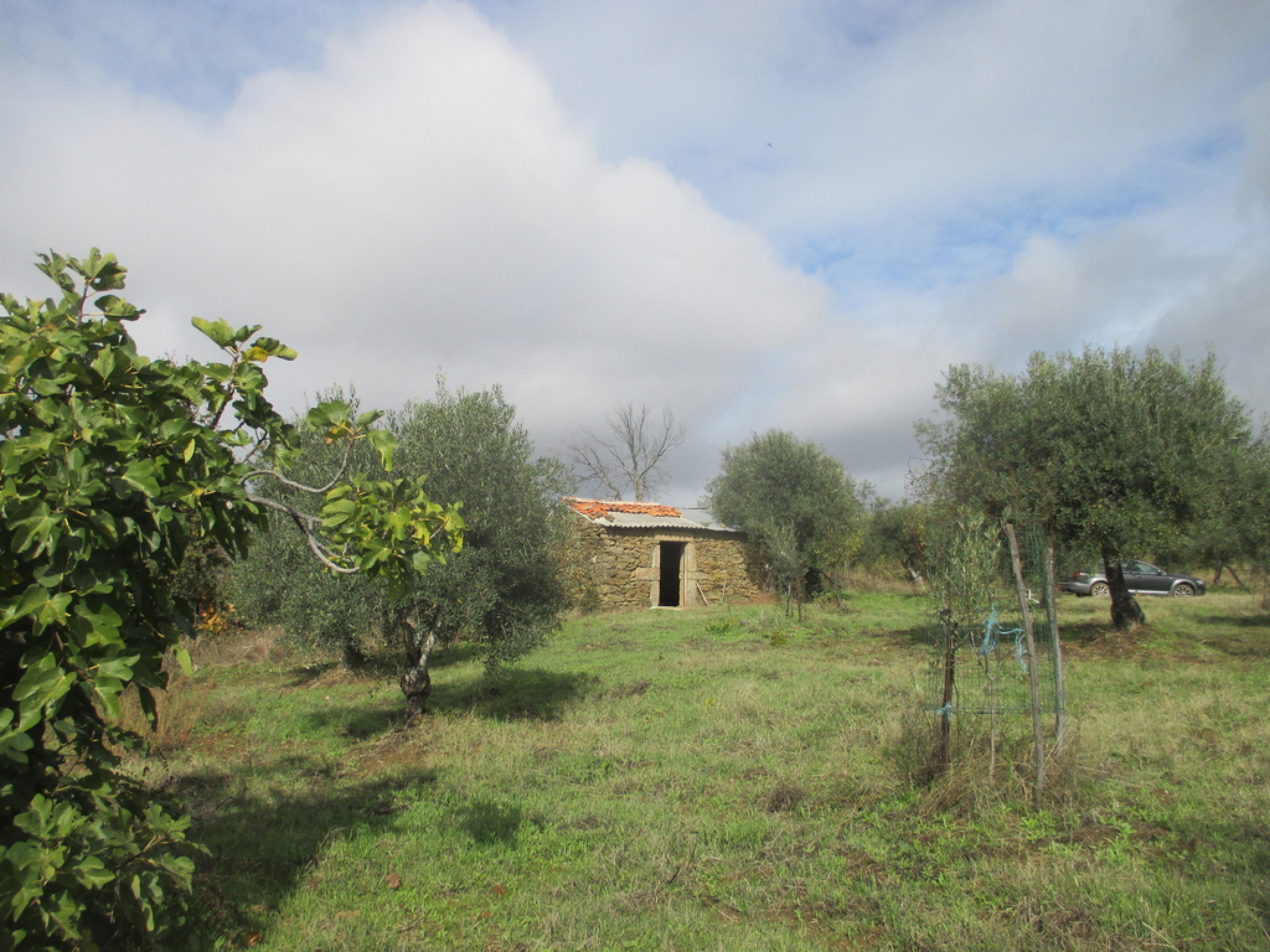 Properties / Real Estate for sale in Portugal - Portugalissimo