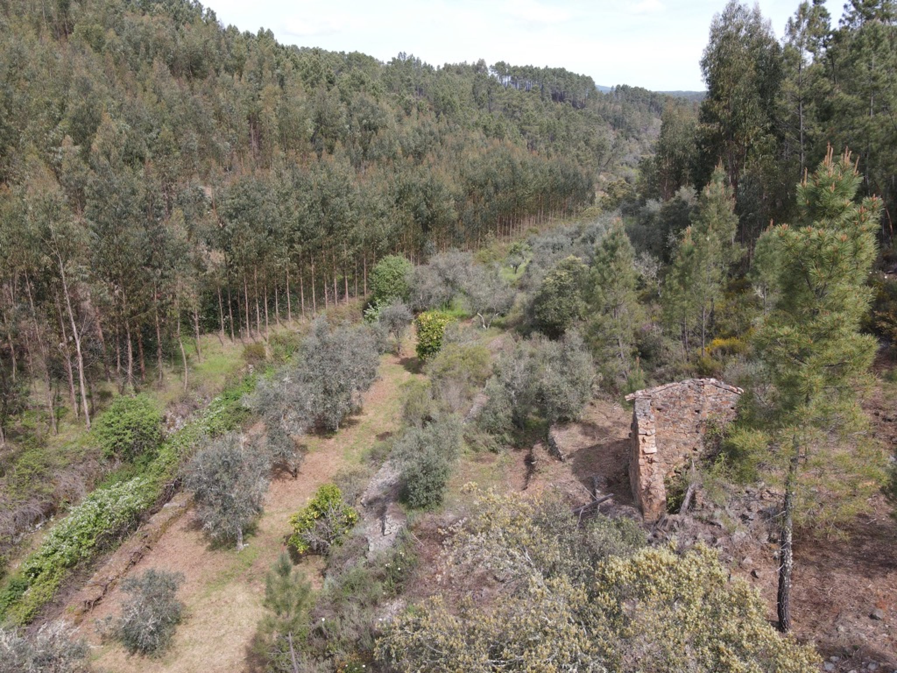 Properties / Real Estate for sale in Portugal - Portugalissimo