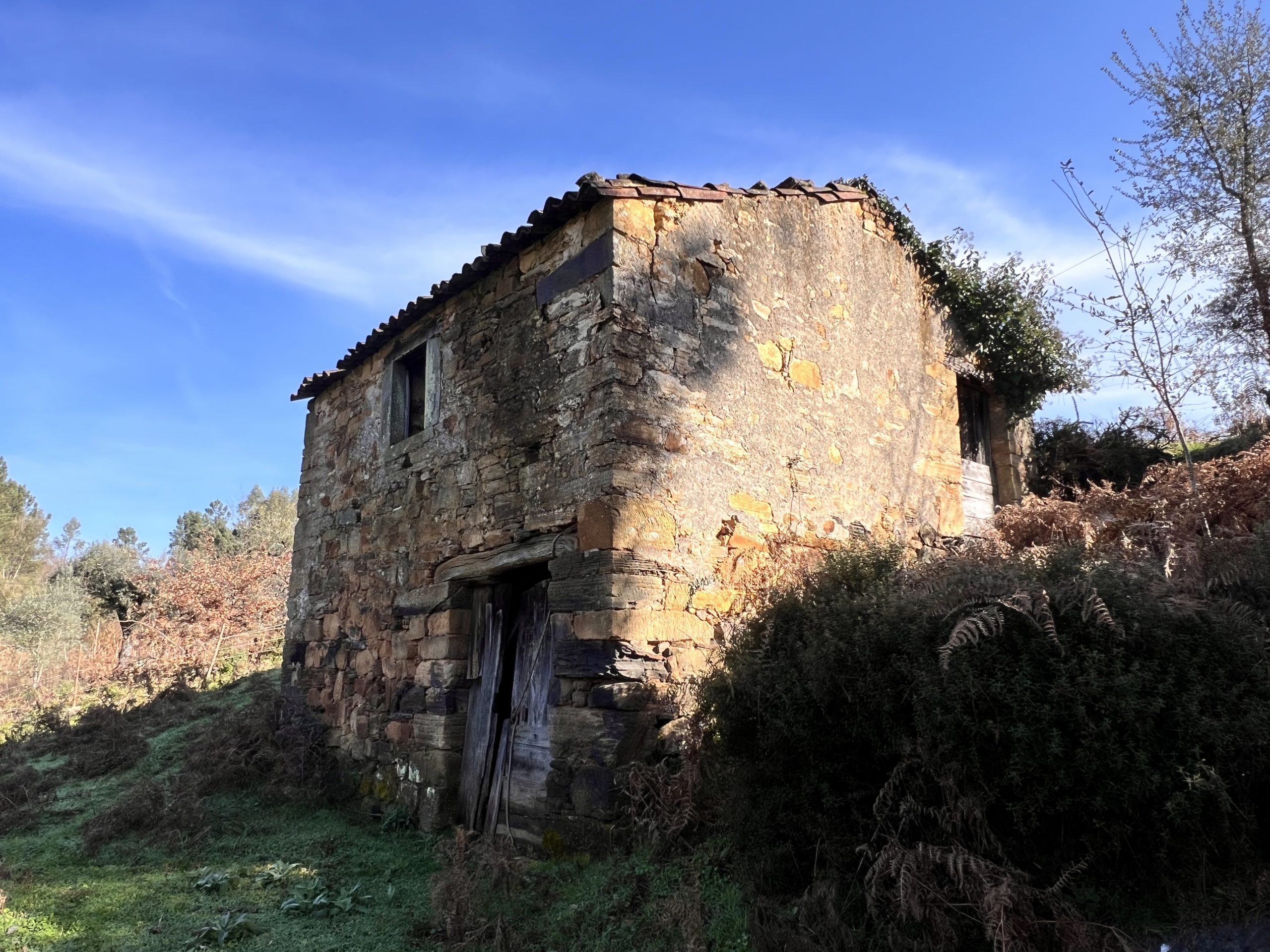 Properties / Real Estate for sale in Portugal - Portugalissimo